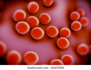 Superbug Staphylococcus Aureus Mrsa Bacteria Stock Illustration ...