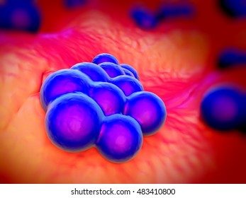 Superbug Staphylococcus Aureus Mrsa Bacteria 3d: ภาพประกอบสต็อก ...