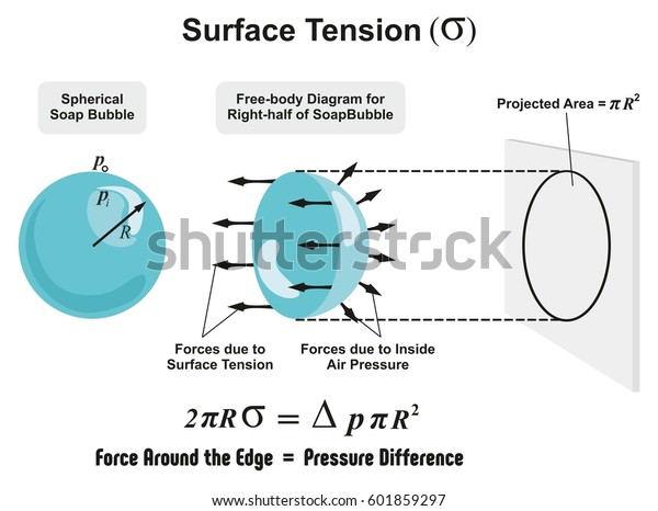 Surface Tension Physics Lesson Spherical Soap: illustrazione stock ...
