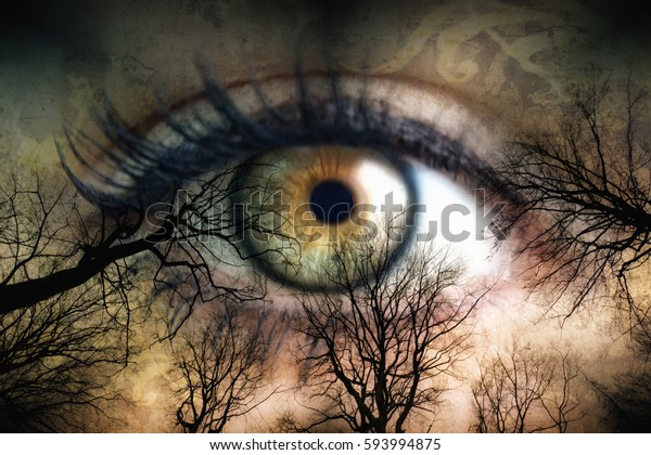 Surreal Image Theme Forest Death Eye Stock Illustration 593994875