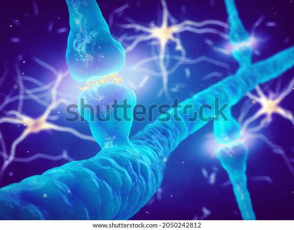 Synapse Gap Between Two Neurons Called Stock Illustration 2050242812 ...