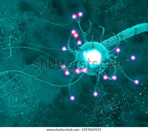 Synapse Structure That Permits Neuron Nerve Stock Illustration ...