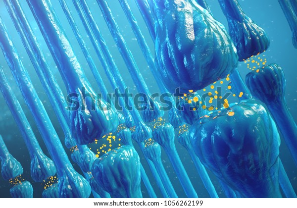 Synaptic transmission, human nervous system. Brain synapses ... Synaptic transmission, human nervous system. Brain synapses ...