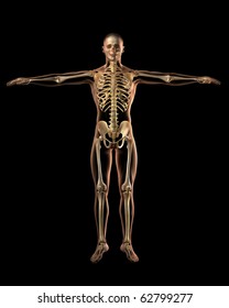 Human Skeletal Sitting Chair Pointing Hand Stock Photo (Edit Now) 297192596