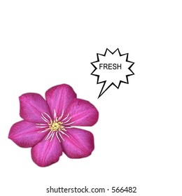 Talking Flower Stock Illustration 566482 | Shutterstock