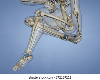 Talus Bone 3d Model Stock Illustration 672169222