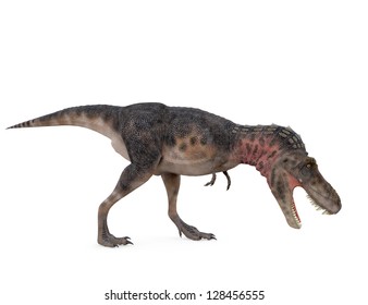 Tarbosaurus Side View Stock Illustration 128456555 | Shutterstock