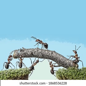 6,135 Ants cooperating Images, Stock Photos & Vectors | Shutterstock