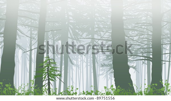 Temperate Rain Forest Mist Stock Illustration 89751556 | Shutterstock