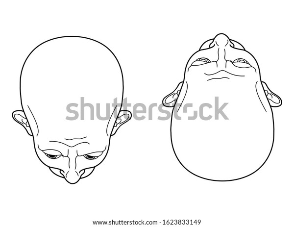 Template Head Men Top View Line: ilustración de stock 1623833149 ...