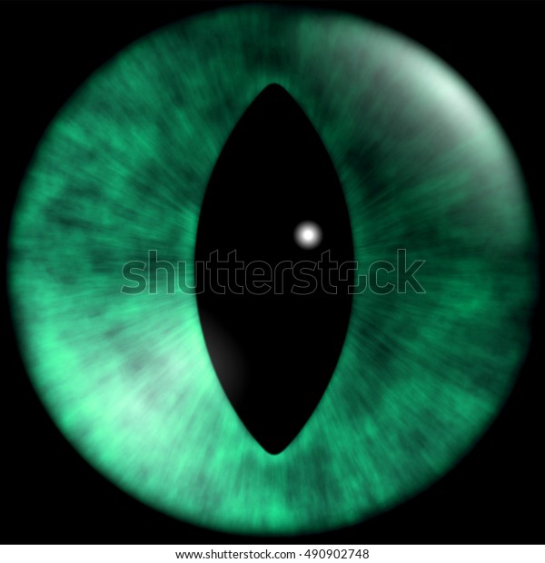 Texture Cat Eyes Stock Illustration 490902748