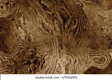 89,143 Tree roots texture Images, Stock Photos & Vectors | Shutterstock