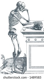 3,368 Skeleton thinking Images, Stock Photos & Vectors | Shutterstock