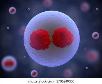 This 3d Stem Cell Split Into Stock Illustration 1706249350 | Shutterstock