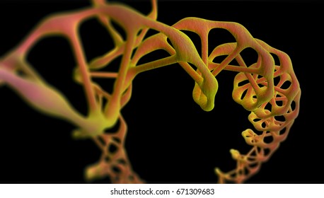 Giant Kelp Macrocystis Pyrifera Species Large Stock Photo (Edit Now ...