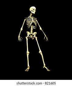 This Skeleton Standing Pose Stock Illustration 821605
