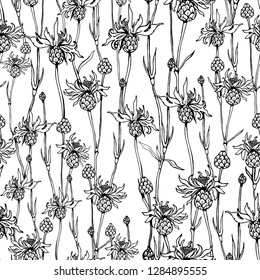 Set Vector Hand Drawn Line Art Stock Vector (Royalty Free) 1557498233 ...