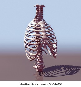 3,793 Rib cage back Images, Stock Photos & Vectors | Shutterstock