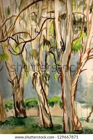 Three Big Trees White Trunks Stock Illustration 129667871 - Shutterstock