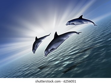 1,989 Three dolphins Images, Stock Photos & Vectors | Shutterstock