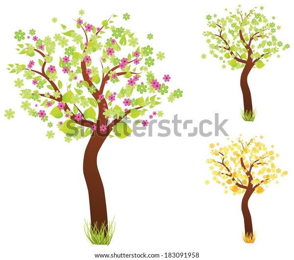 Three Trees Different Time Year Blossom Stock Illustration 183091958 ...
