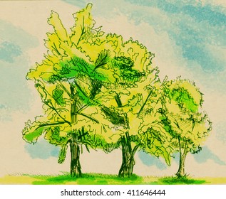 Three Trees Drawing Stock Illustration 411646444 | Shutterstock