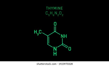 83 Thymine T Images, Stock Photos & Vectors | Shutterstock