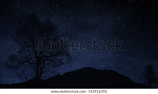 Time Lapse Starry Night Shadow Tree Stock Illustration 763916392 ...