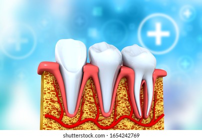 287 Crown neck root tooth Images, Stock Photos & Vectors | Shutterstock