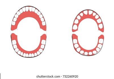 367 Chart Tooth Numbers Images, Stock Photos & Vectors | Shutterstock