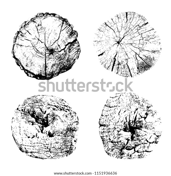 Top View Cut Tree Trunks Isolated Stock Illustration 1151936636 ...