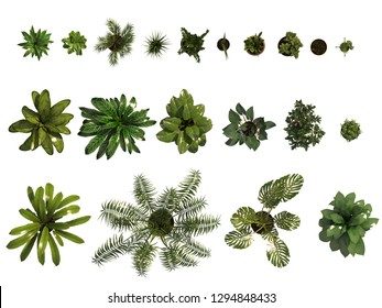 Collection Trees Top View Landscape Vector: เวกเตอร์สต็อก (ปลอดค่า ...