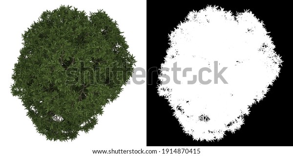 Top View Generic Palm Tree Png Stock Illustration 1914870415 | Shutterstock