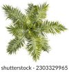 85,951 Architectural Drawing Trees Royalty-Free Images, Stock Photos ...