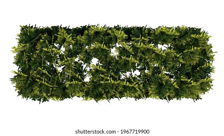 Top View Plant Rectangular Bush 1 Stock Illustration 1967719900 ...