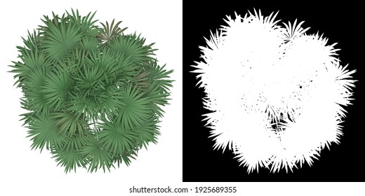 Top View Thatch Palm Tree Png Stock Illustration 1925689355 | Shutterstock