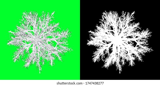 Top View Winter Tree 3d Render Stock Illustration 1758178688