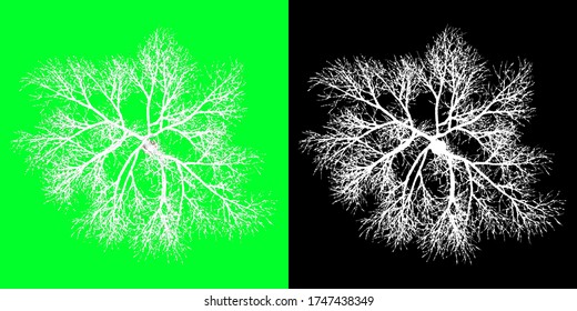 Top View Winter Tree 3d Render Stock Illustration 1758178688