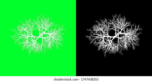 Top View Winter Tree 3d Render Stock Illustration 1747438355 | Shutterstock