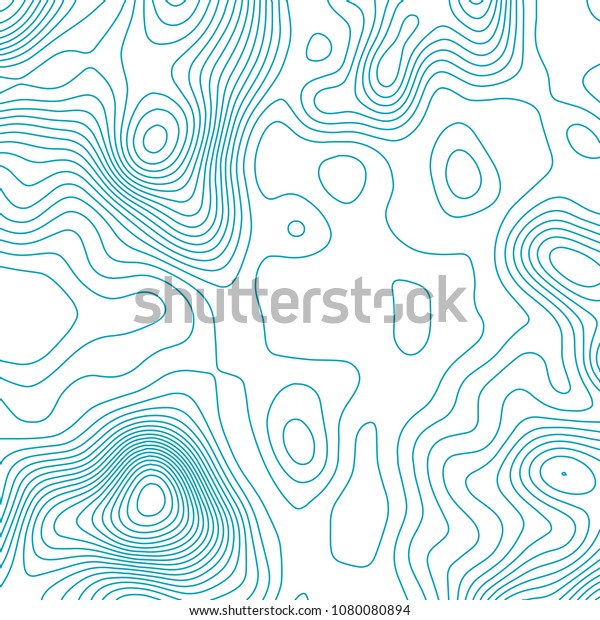 Topographic Map Background Grid Map Illustration Stock Illustration ...