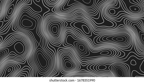 Topographic Map Background Topographical Style Lines: เวกเตอร์สต็อก ...