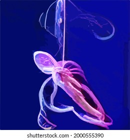 Translucent Deep Sea Creature Like Squid Stock Illustration 2000555390 ...