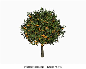 Tree 3d Render Stock Illustration 1218575743 | Shutterstock