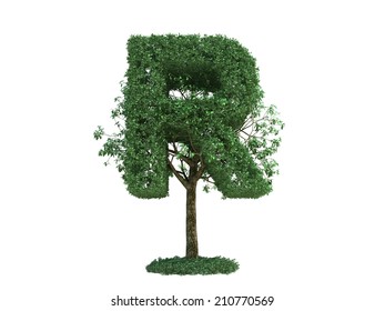 Tree Alphabet Stock Illustration 210770569 | Shutterstock