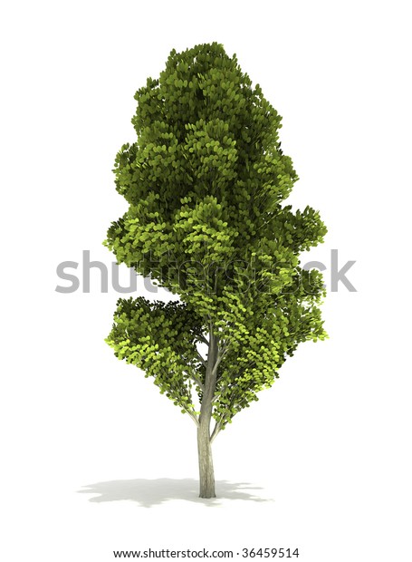 Tree Cutout Stock Illustration 36459514