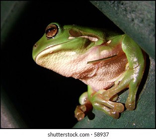 Stock Photo and Image Portfolio by Jeff Davies | Shutterstock