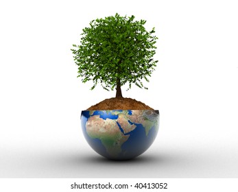 Tree Grown Earth Globe Section 3d Stock Illustration 40413052 ...
