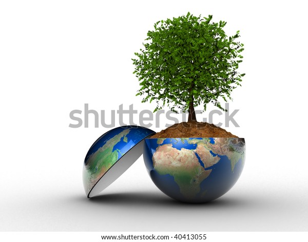 Tree Grown Earth Globe Section 3d Stock Illustration 40413055 ...