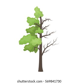 5,543 Half dry tree Images, Stock Photos & Vectors | Shutterstock