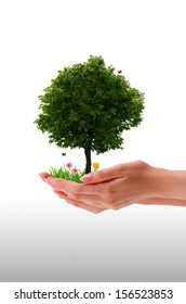 Tree Hand Stock Illustration 156523853 | Shutterstock
